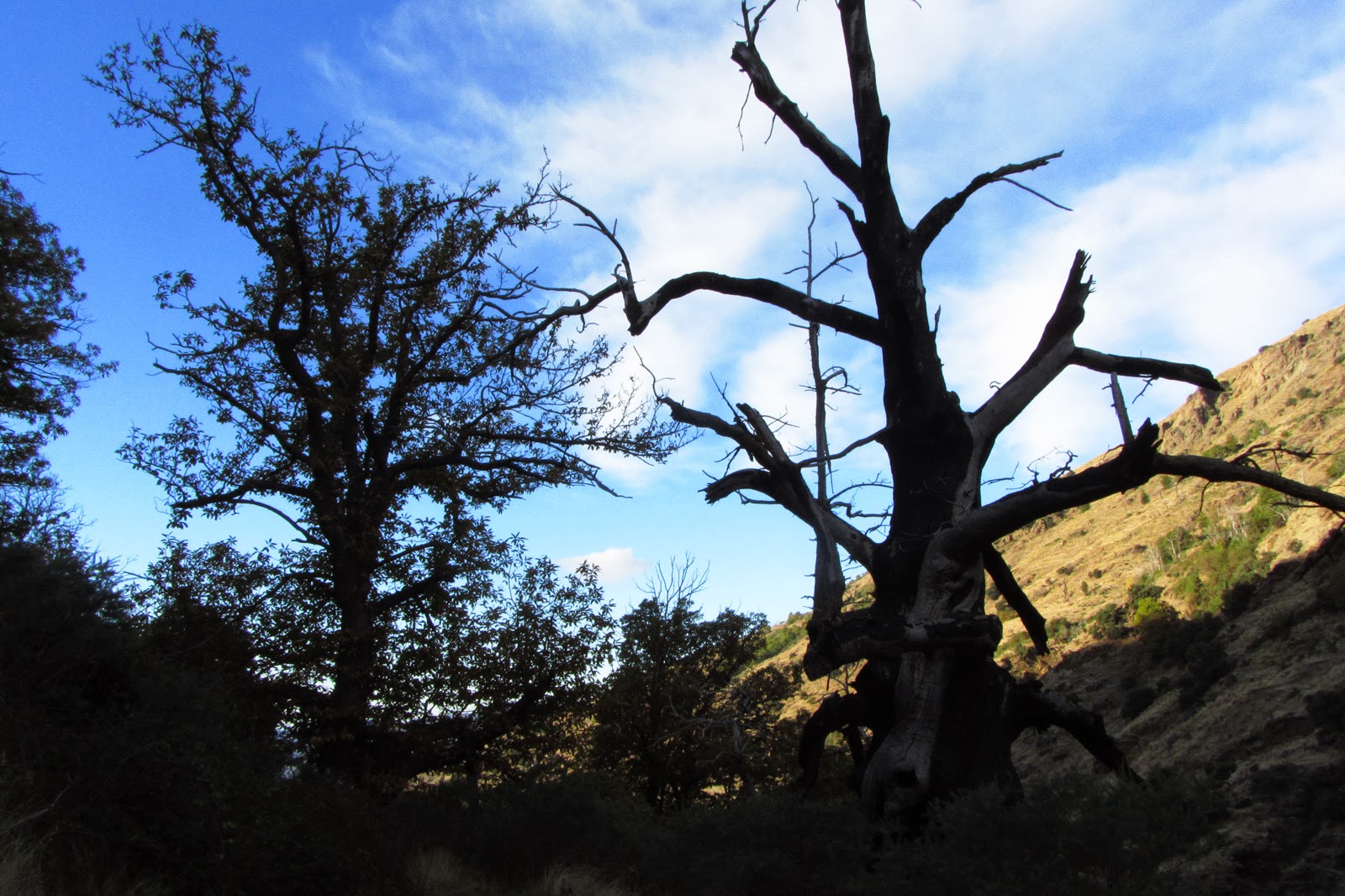 Caminando por Sierras y Calles de Andalucía: Sulayr Tramo 4: Tello ...