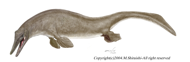 Extinct Animal of the Week: Tail Oars