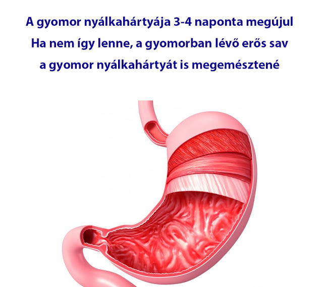 Gyomorégés, reflux betegség - Magazin