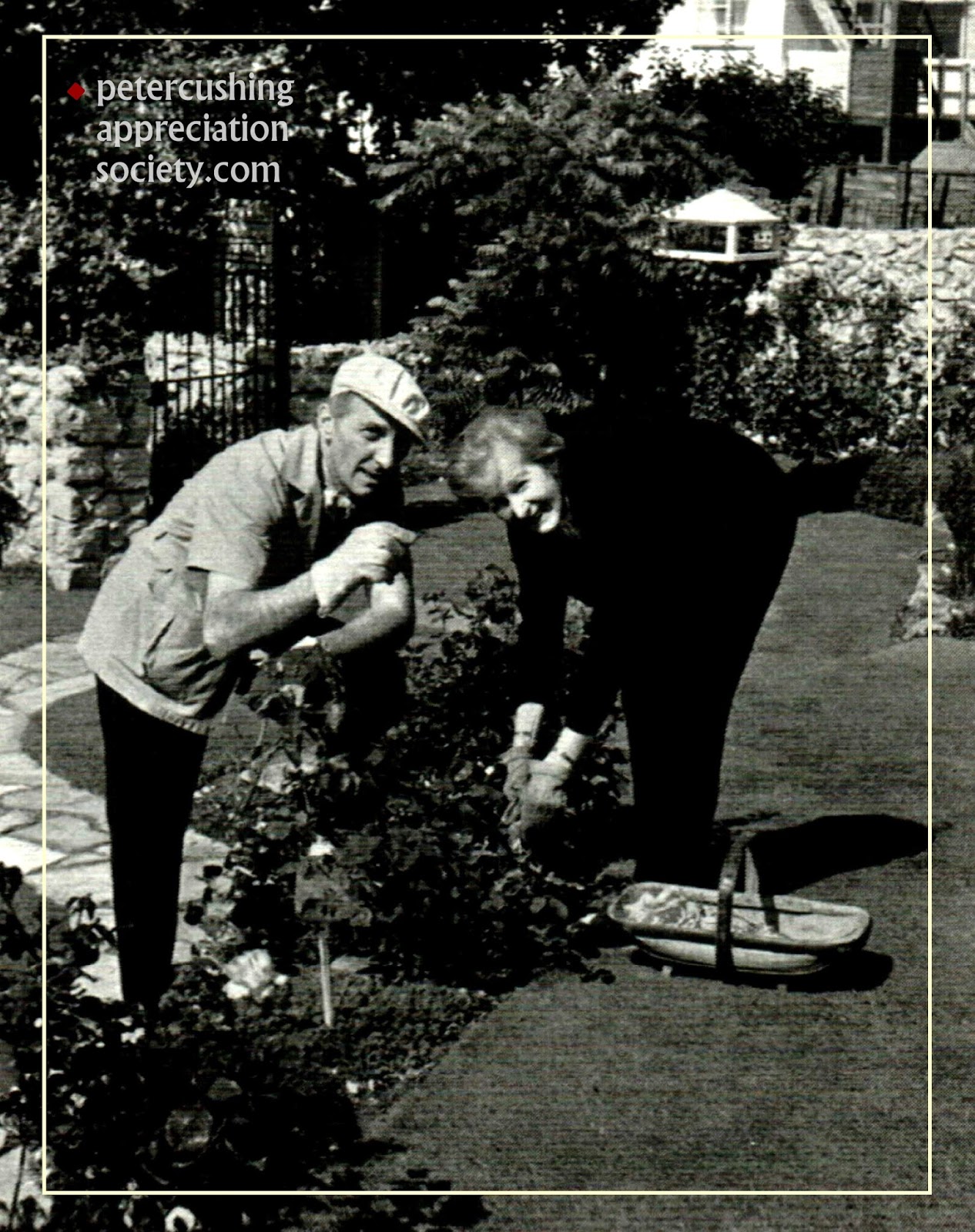 PETERCUSHINGBLOG.BLOGSPOT.COM (PCASUK): IN REMEMBRANCE OF HELEN CUSHING ...