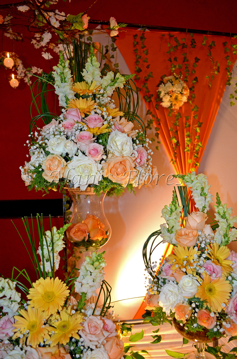 Alanis Flores: Candy Colors