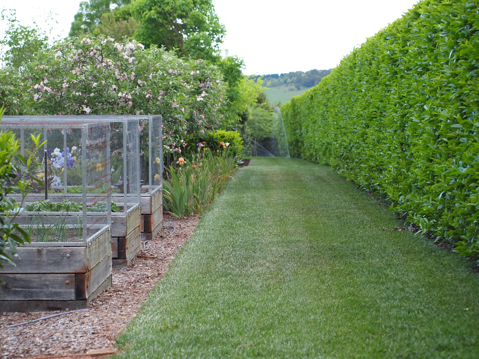 the lime walk: RAISED VEGETABLE BEDS ON THE FARM