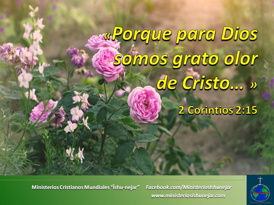 Ministerios Cristianos Online "Îshu-nejar": Olor Fragante