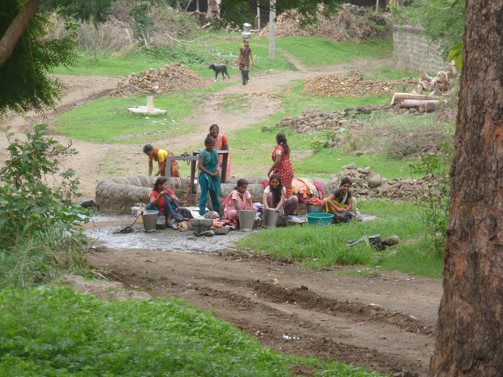 India Health Initiative: The Comprehensive Rural Health Project