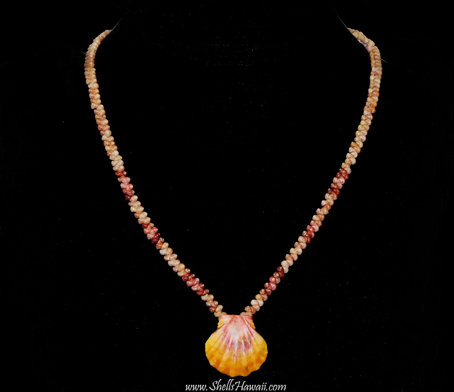 Kahelelani & Sunrise shell jewelry by.... Janjira: Hawaiian shell jewelry