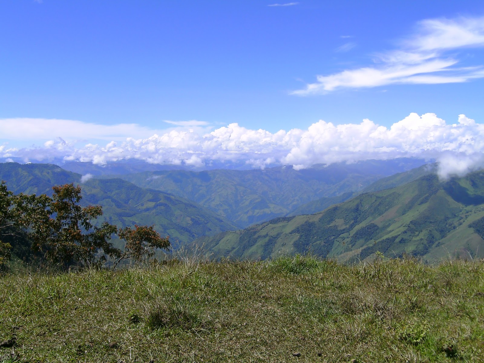 Ituango Colombia : ITUANGO ENERGIA DE COLOMBIA: Mapa de Antioquia La ...