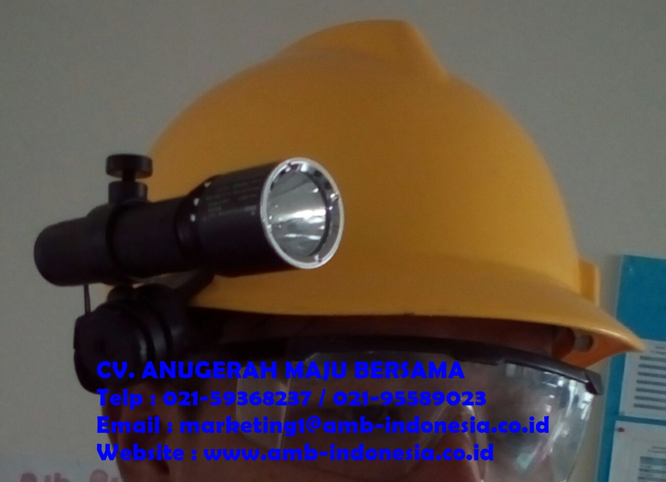 Qinsun Led Explosion Proof: Jual Lampu Senter Led Explosion Proof ...
