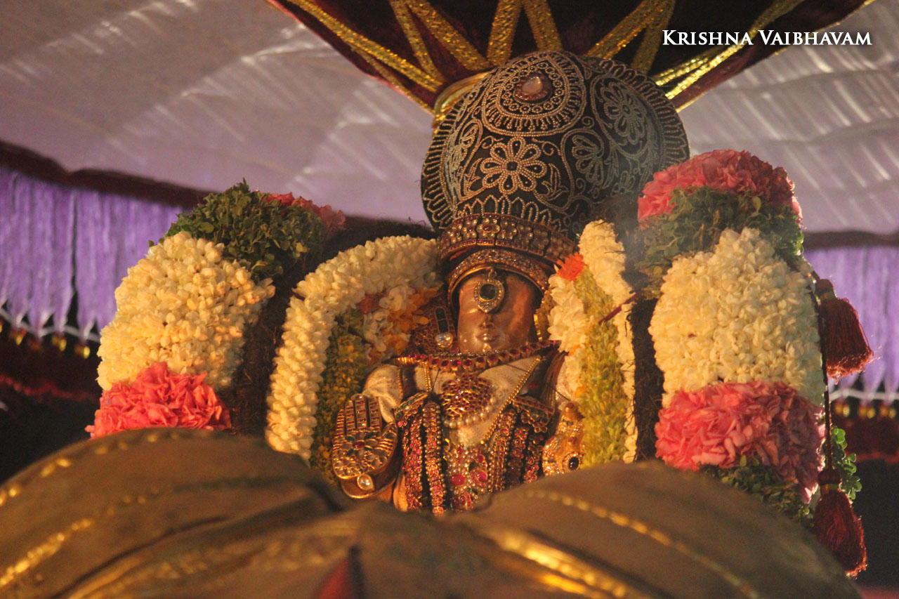 Krishna Vaibhavam: 06 Yaanai Vahanam YEsal Purappadu - Thiruvallikeni ...