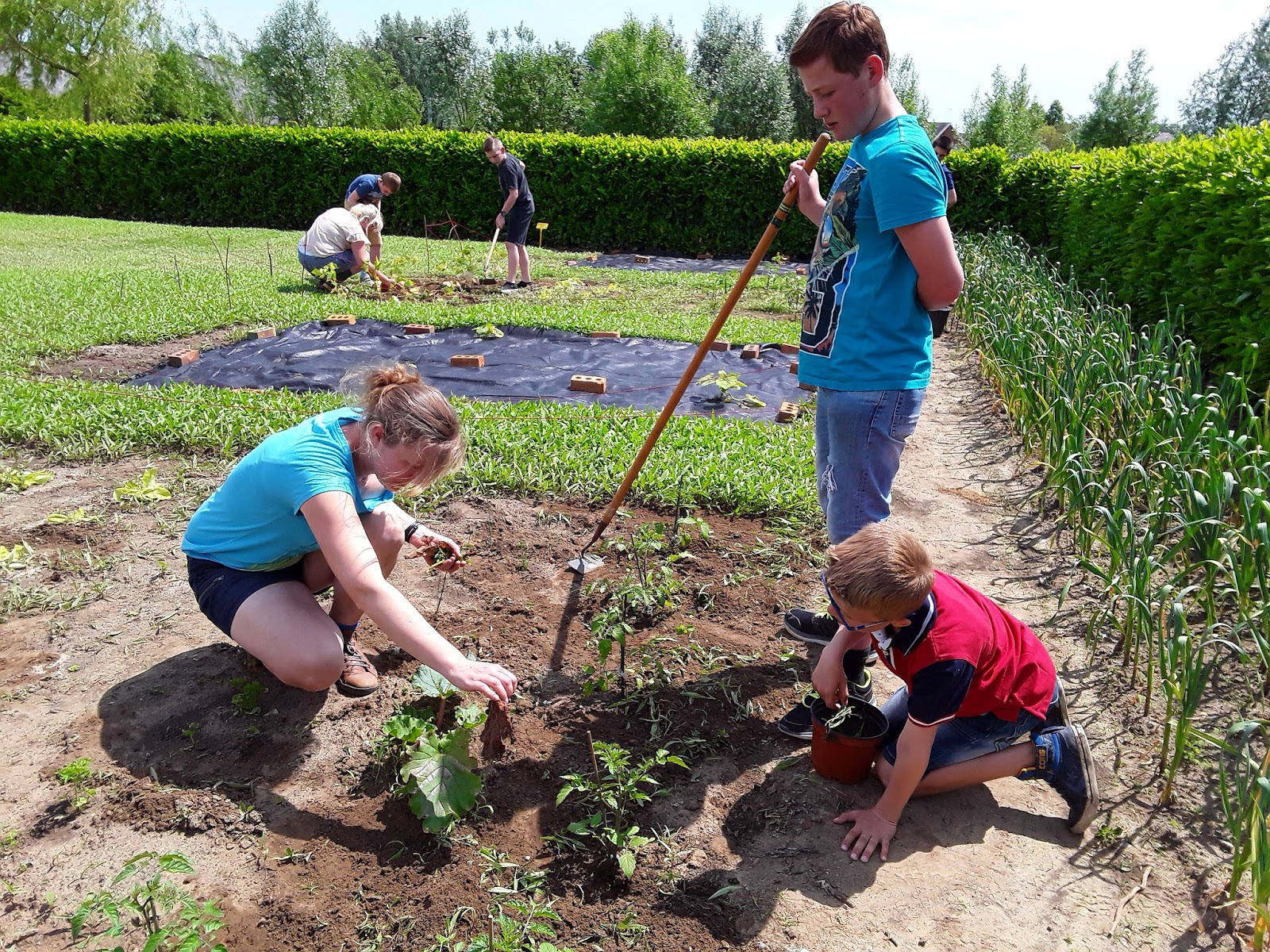 Welkom op de blog van REMI !: Werken in de tuin.