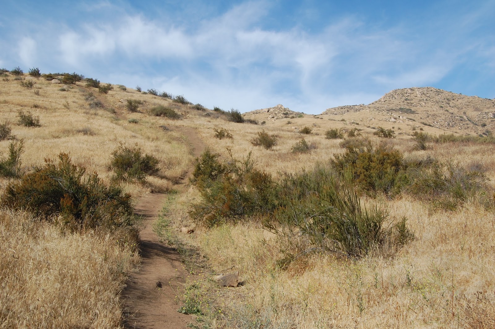 Hiking Box Springs Mountain | East West Hike