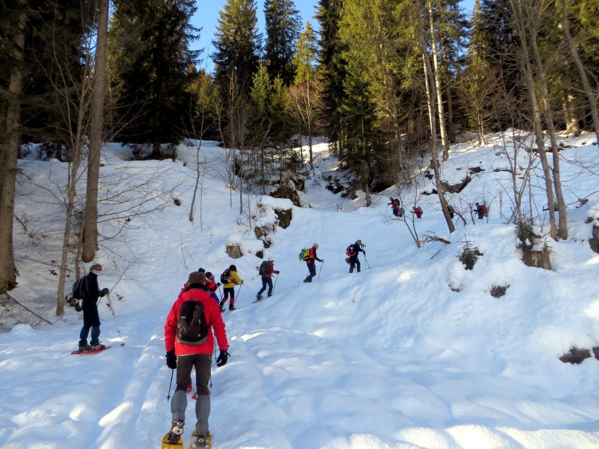Escursione con le ciaspole in Val Zoldana - Montagna di Viaggi