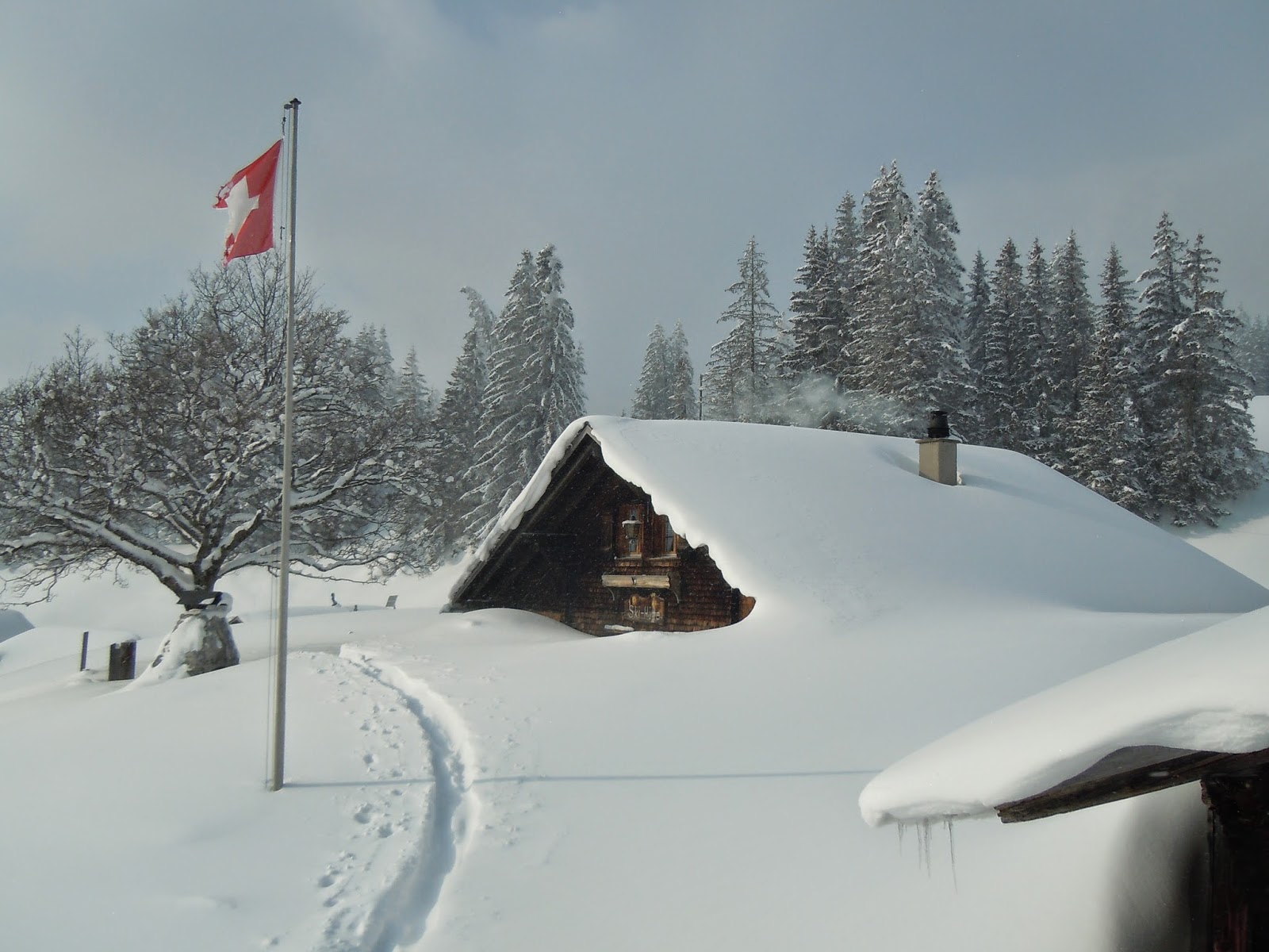 Skiclub Brienzwiler: Bilder