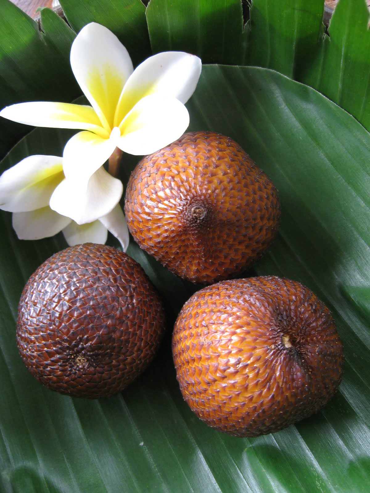 Morsels and Musings: salak: snake fruit