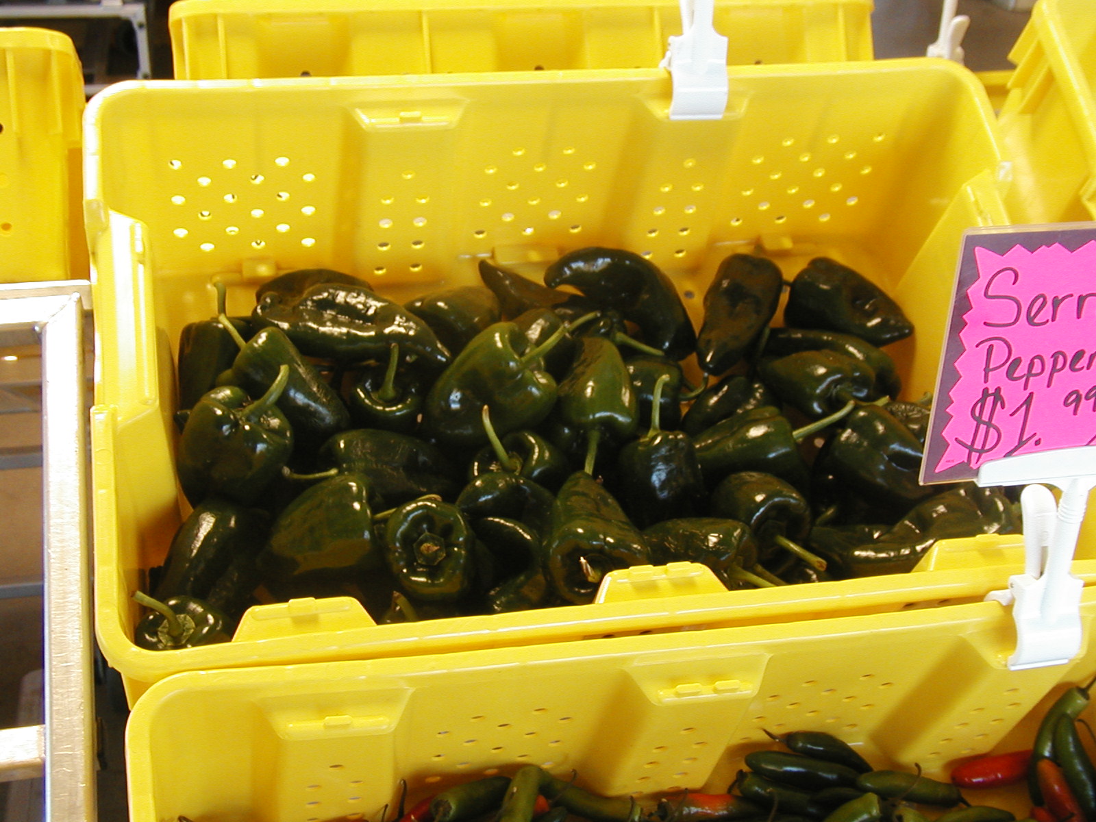 Michigan Cottage Cook: PUMPKIN CHILI OR THE CHILI OF THE ANCIENT AMERICAS