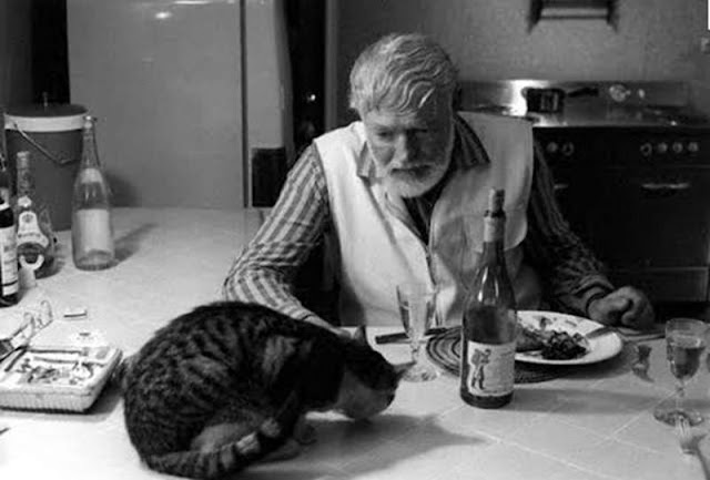 26 Interesting Vintage Photos of Ernest Hemingway With His Beloved Cats ...