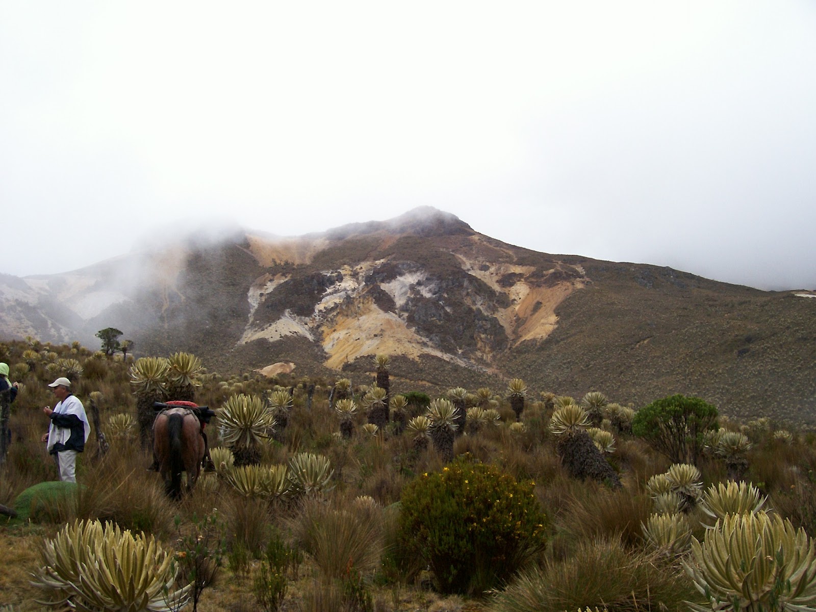 ATALAYA: UN VIAJE AL TECHO DE SANTA ROSA