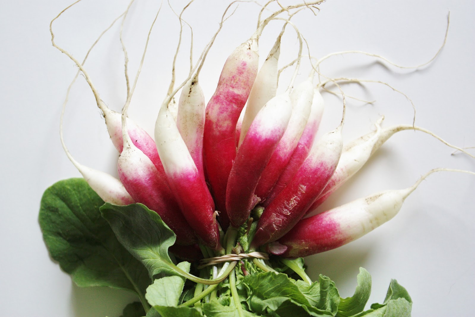 This Rawsome Vegan Life: veggie wrap & miso mustard gravy