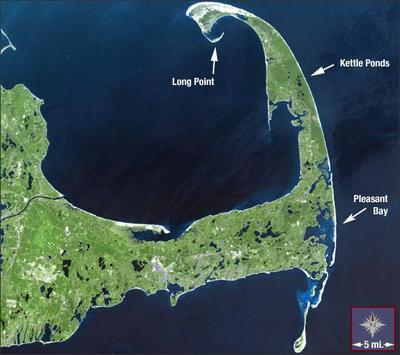 Fishing the Cape Cod Canal at Night for Big Striped Bass ~ She's So Fly ...