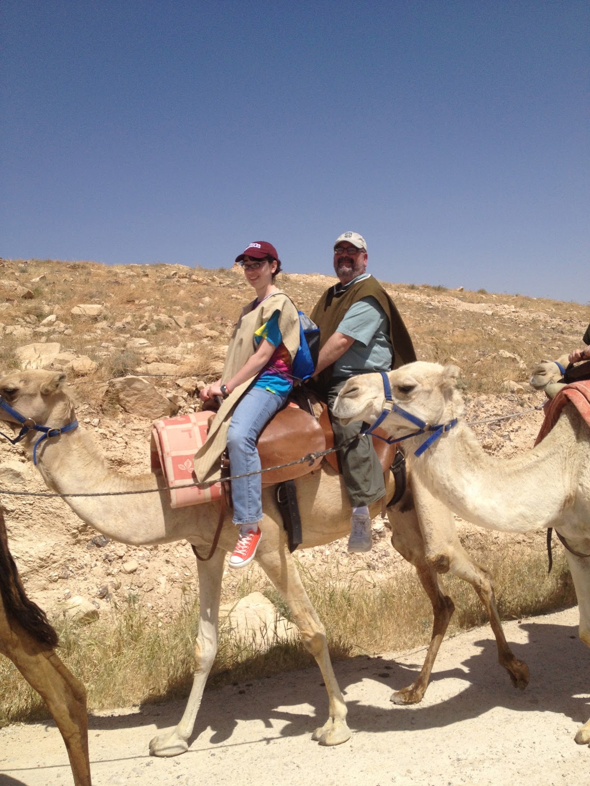 In One Ehrlich: Camel Riding and our Ascent to Jerusalem