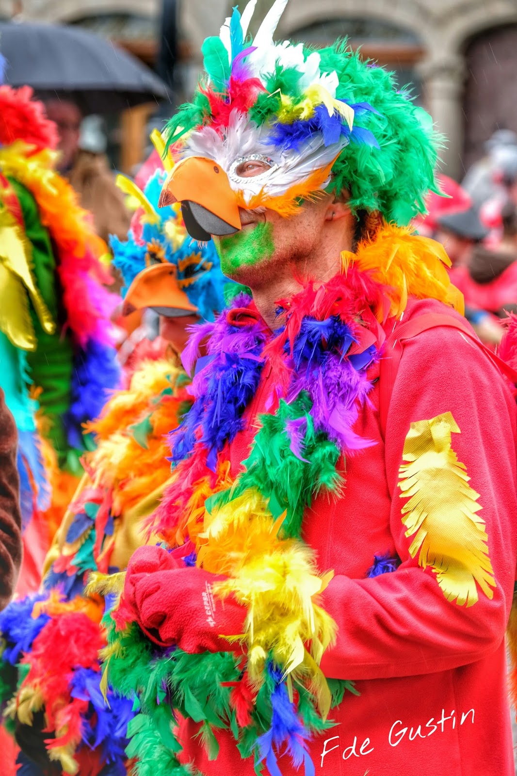 F. DE GUSTIN GALERIA DE FOTOGRAFIAS