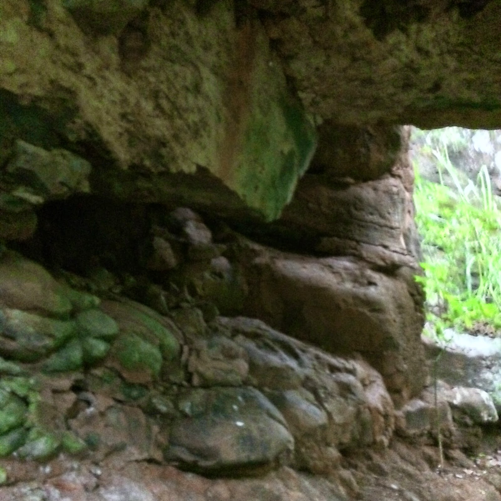 Pohukaina Cave: Waiawa