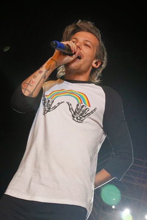 One Direction Girls ♥: Concierto en Santiago de Chile.-Where We Are ...