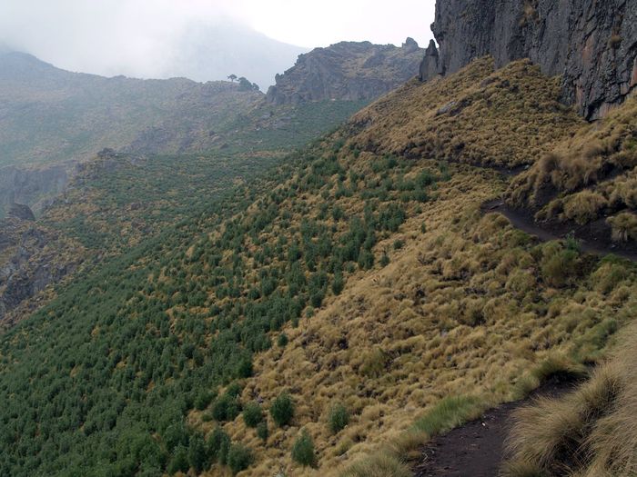 GeoSoles: 6. Inestabilidad geomorfológica - Procesos en laderas