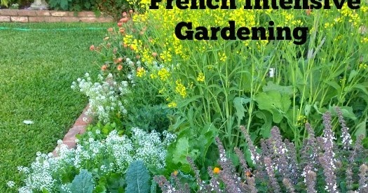 Sunny Simple Life: French Intensive Gardening