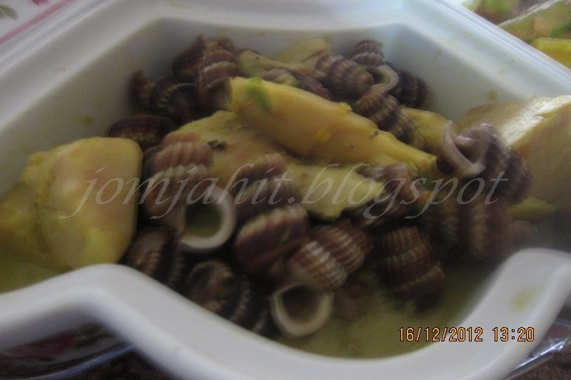 JOM JAHIT JOM MASAK : Masak lomak siput belitung dengan keladi