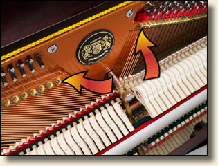 Blogpaedia: Termos técnicos em inglês que você deve saber antes de ...