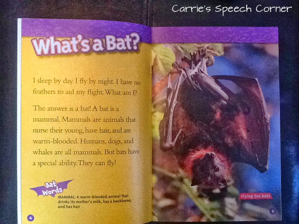 Carrie's Speech Corner: Book of the Week: Bats