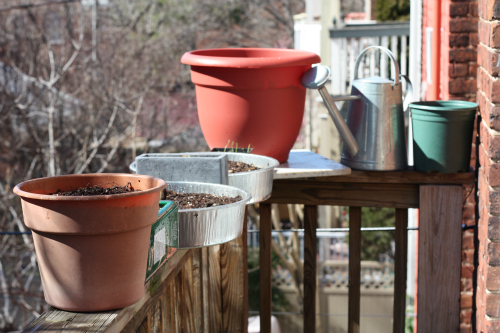 Weekend Planting: Outdoor Containers | 17 Apart