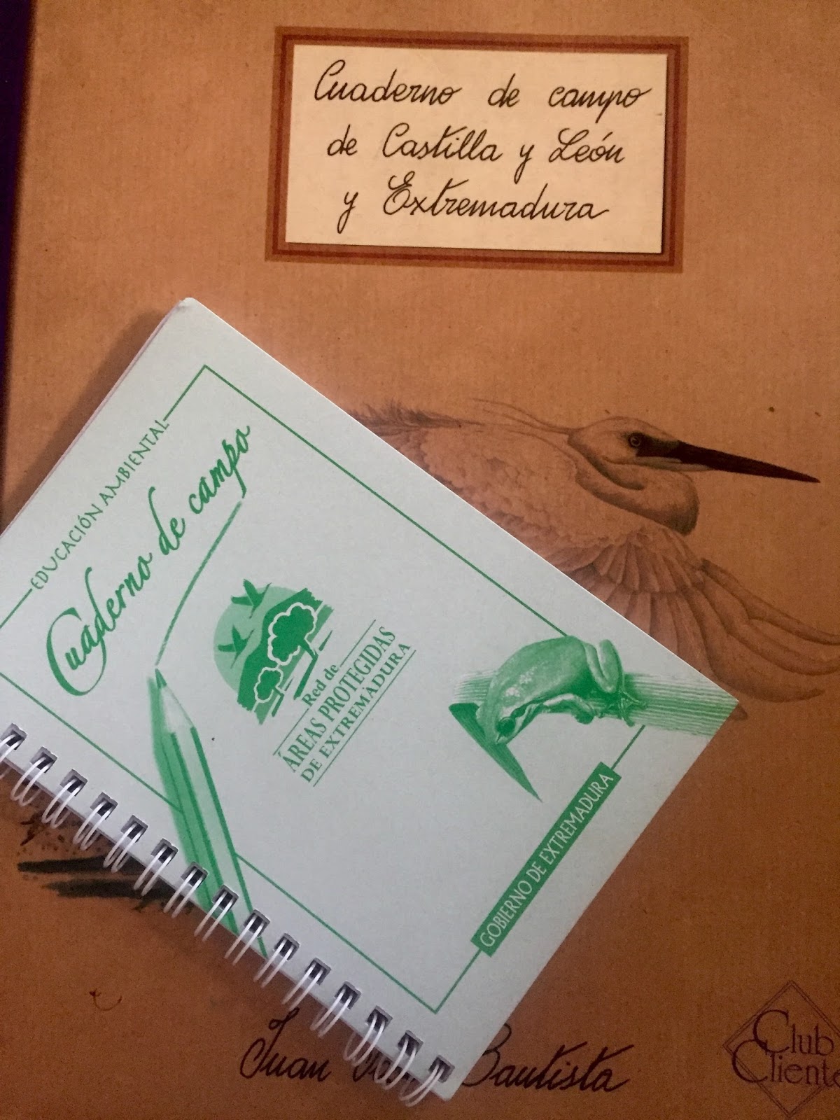 BLOG CEIP JEROMÍN @: Martes 4 de octubre 2016 "Día de las Aves" en el CEA