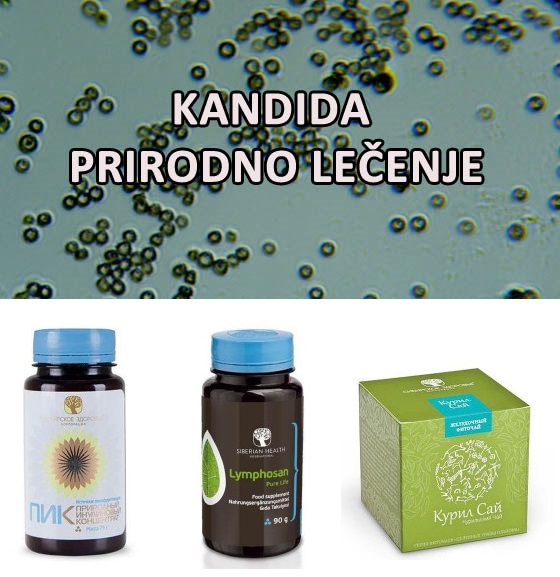 SIBIRSKO ZDRAVLJE: KANDIDA U CREVIMA