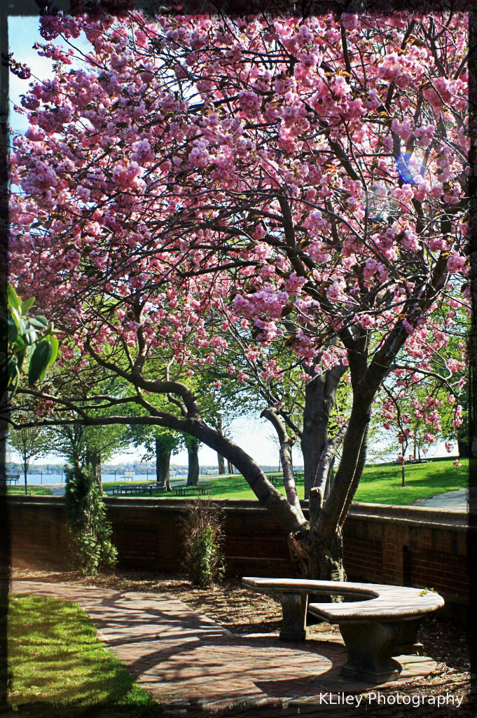 My New England: Spring scenery at an Italian garden