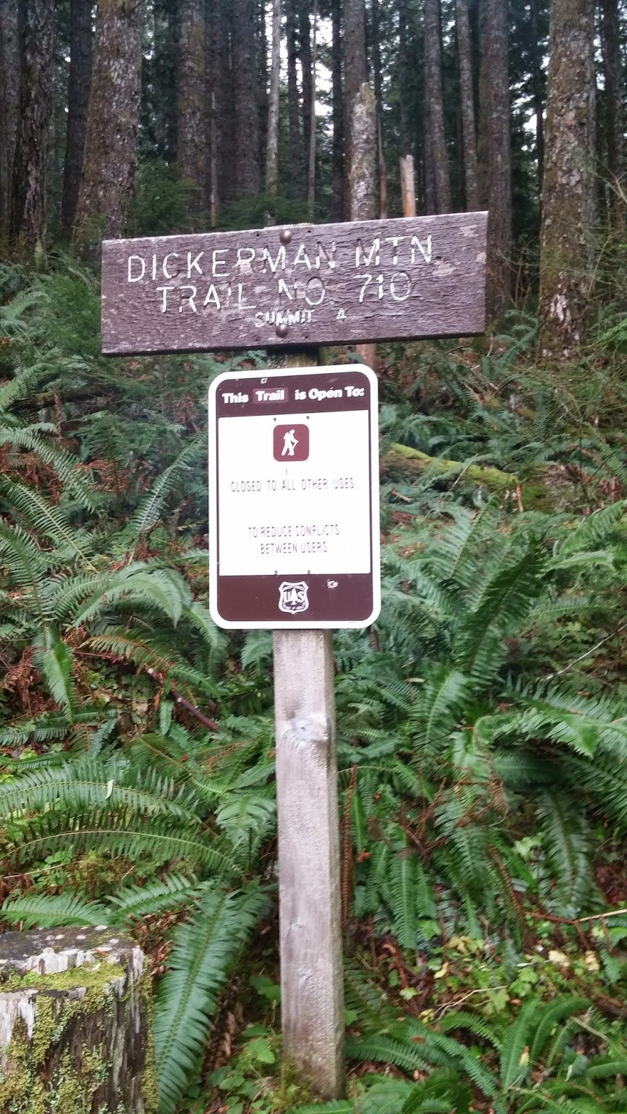 Hiking in the Pacific Northwest: Mount Dickerman Hike: 12/16/14