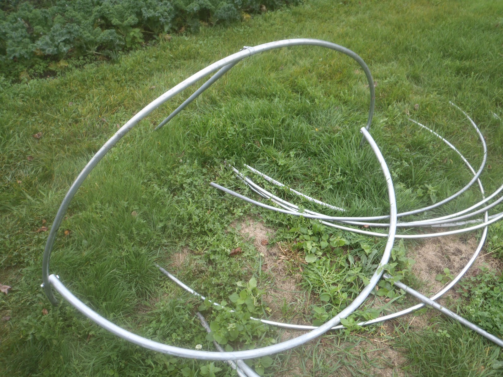 Have You Ever Picked A Carrot?: Low Tunnel Quick Hoops: Minimum expense ...