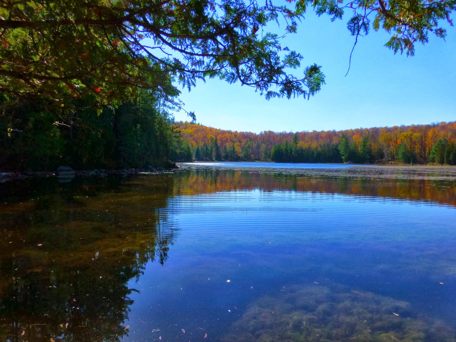 Off on Adventure: Marsh Pond Mountain - Dix Mountain Wilderness Area ...