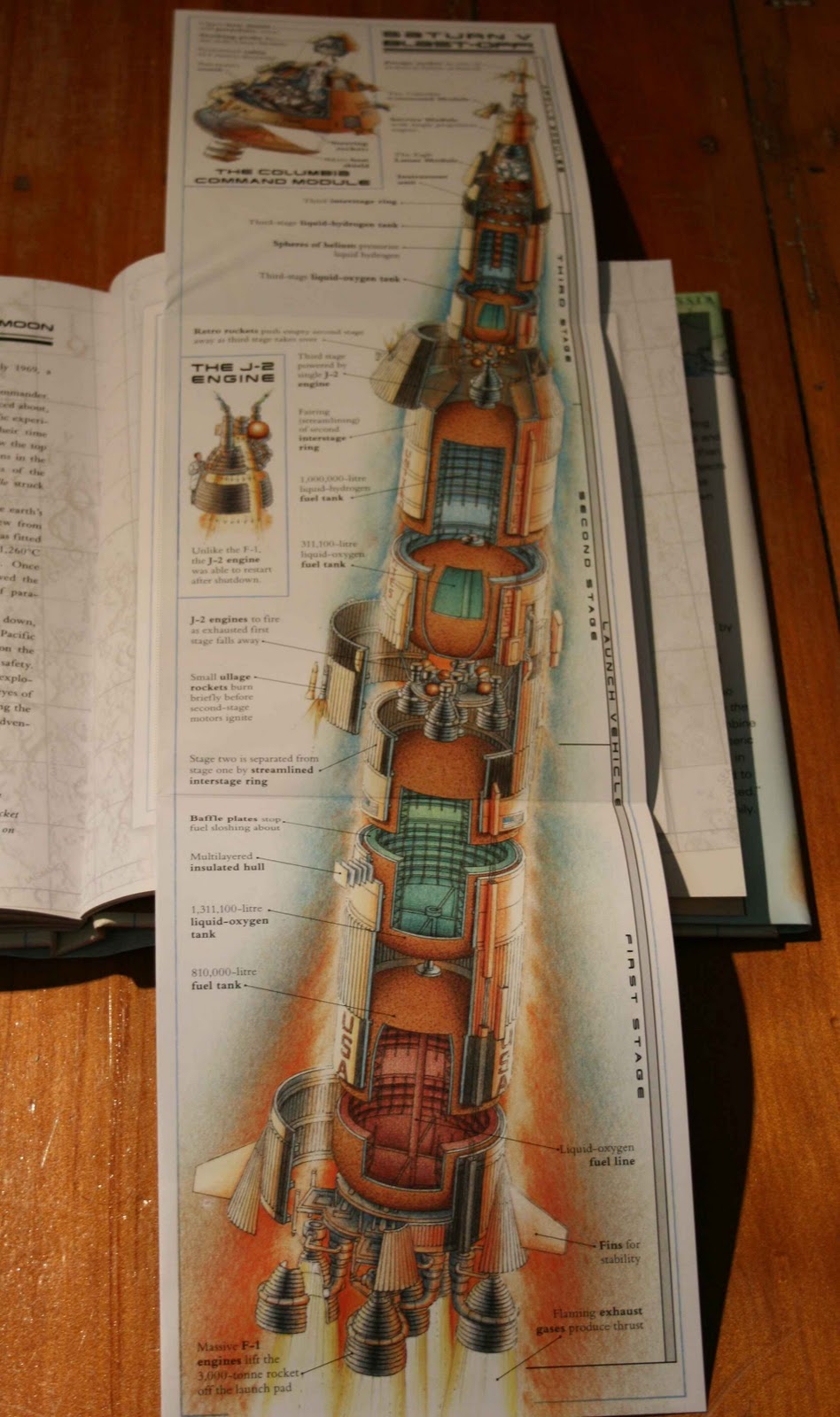 Literacy, families and learning: Cross-section books and why boys love them