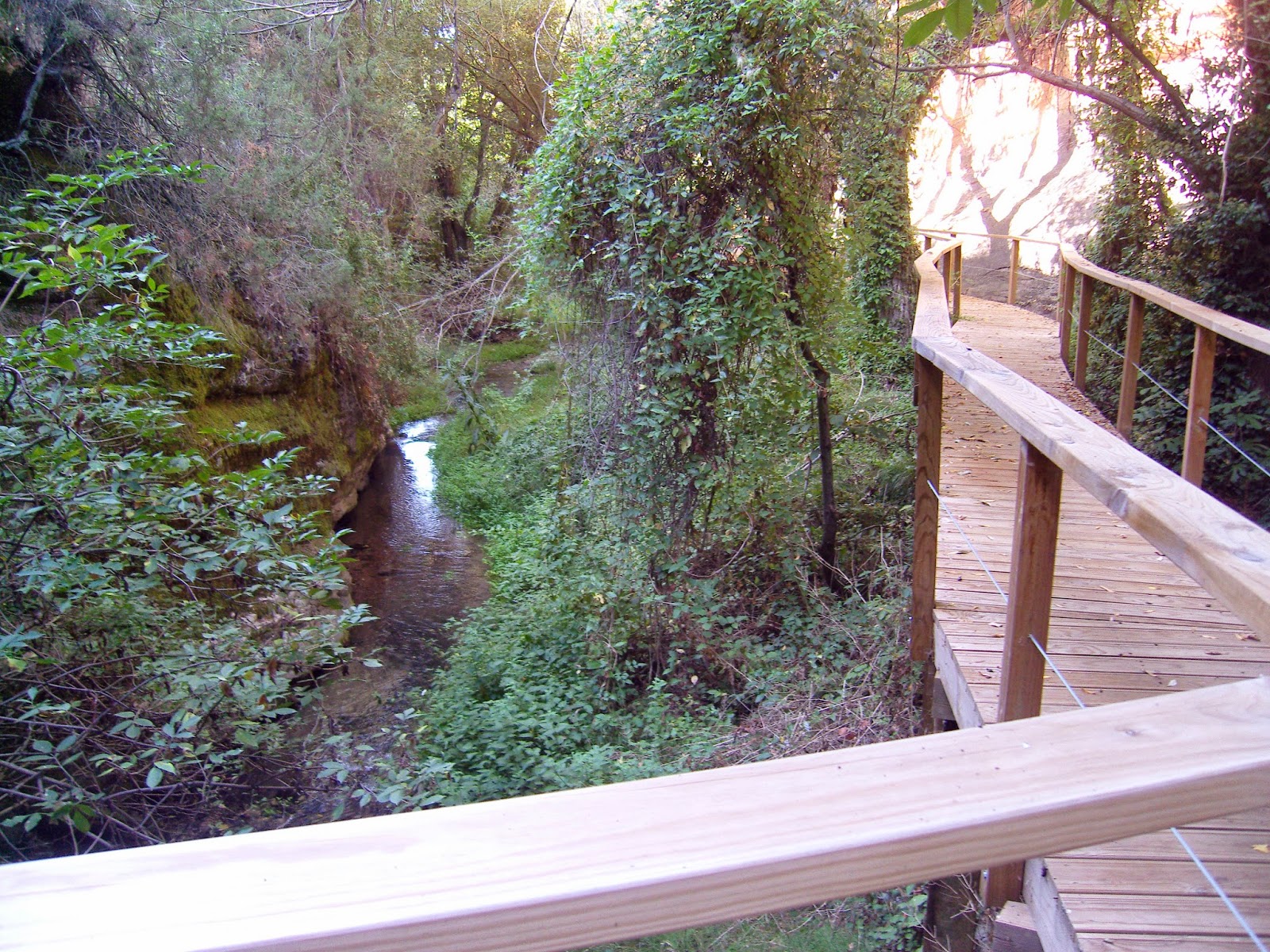 BLOG DE LA CIERVA ANTONIA: Pinturas rupestres de Villar del Humo