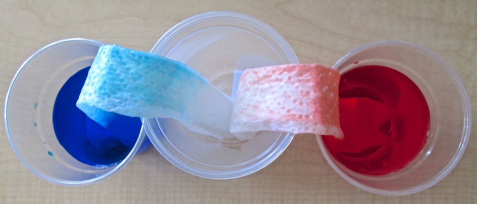 Mrs. Garrabrant's Classroom: Leaf Pictures, Purple Experiment, Library ...