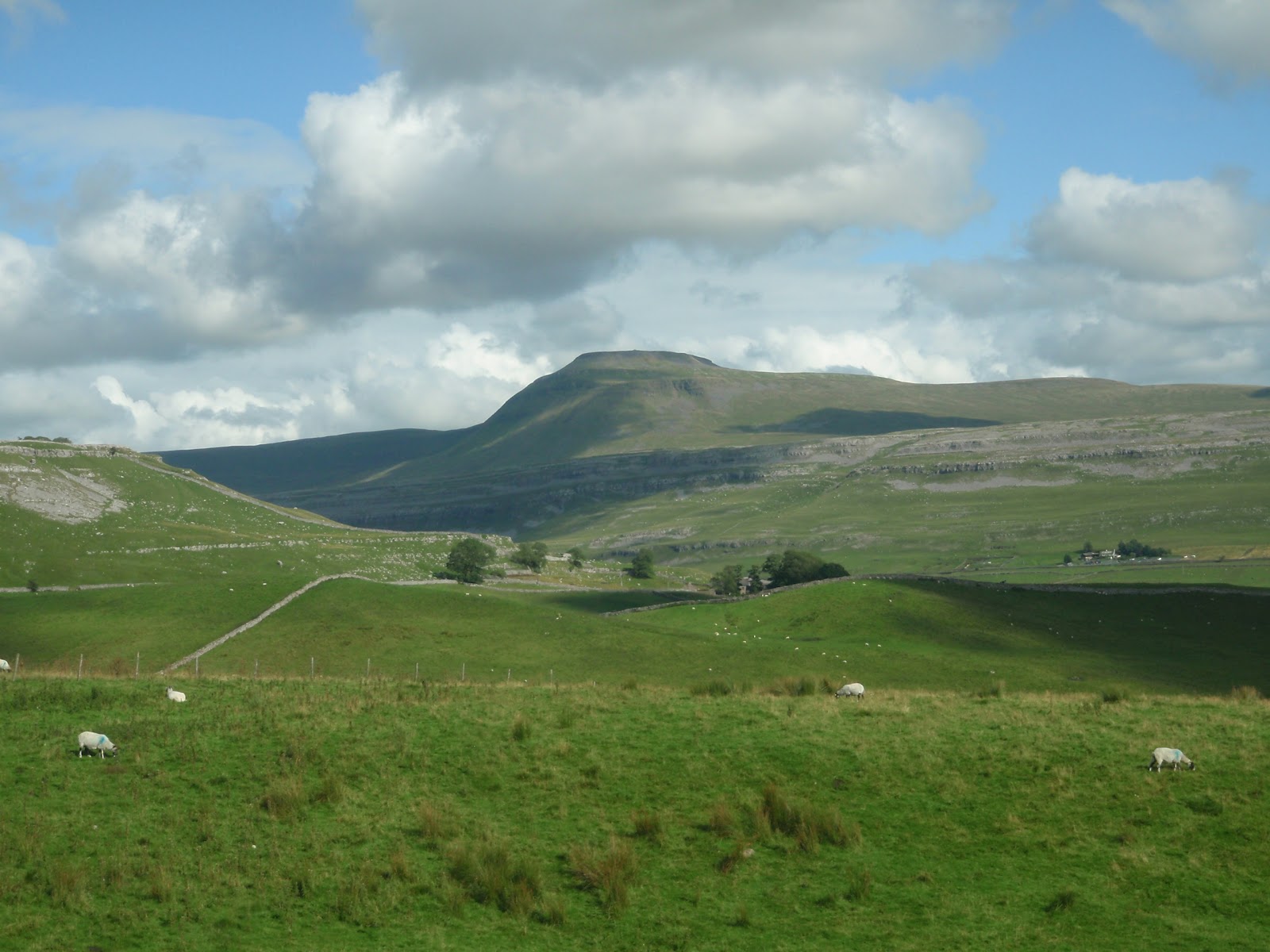 Karen Slatcher: August Bank Holiday - Jingling Pot - 26 Aug 12