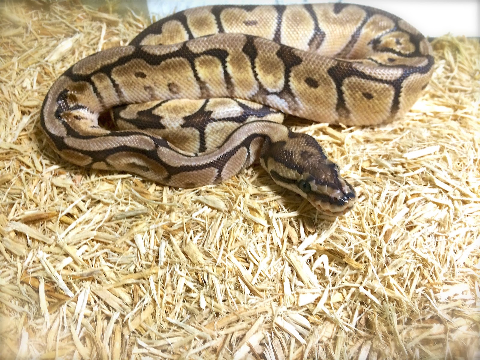 Bible Lessons From The Outdoors: Christian Outdoor Object Lesson 42 ...