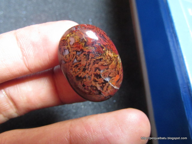 Batu Akik (Agate) Asli Kalimantan