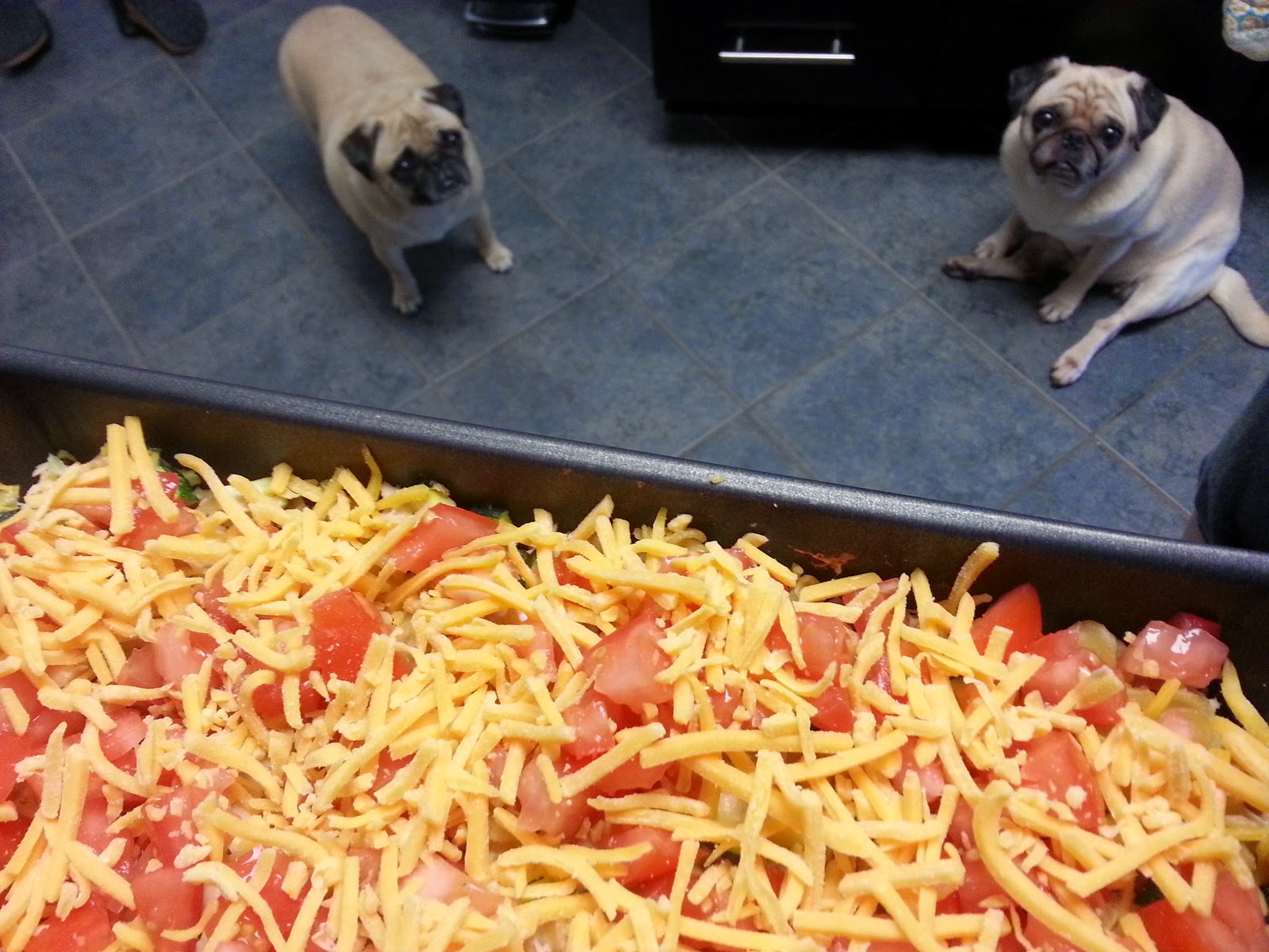 Grubbin' Pugs