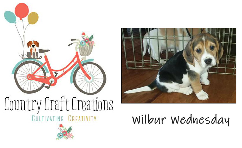 Country Craft Creations: Wilbur Wednesday