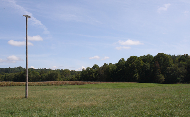 Ahalenia: Kituwah, North Carolina