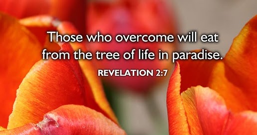 IMMANUEL GOD WITH US: Those who overcome will eat from the tree of life ...