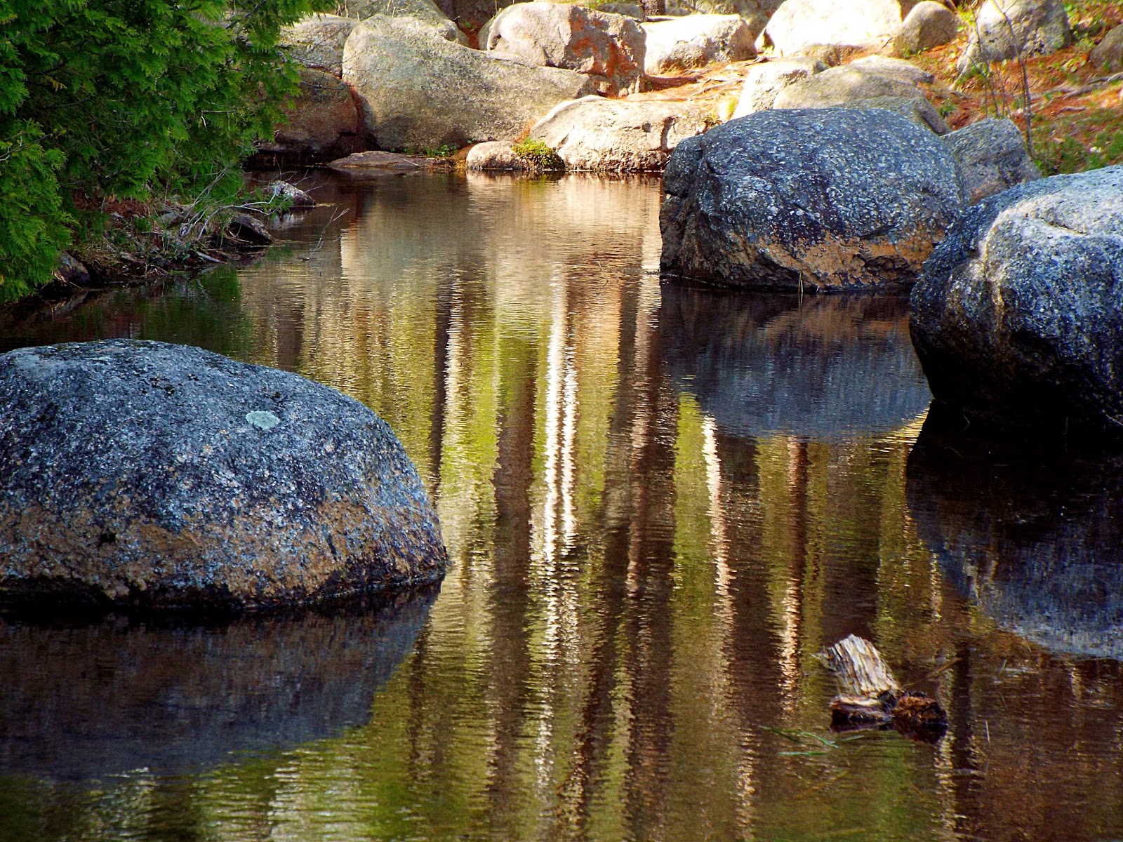 EXPLORING IN AND AROUND ACADIA NATIONAL PARK: THE WATERS OF BUBBLE POND