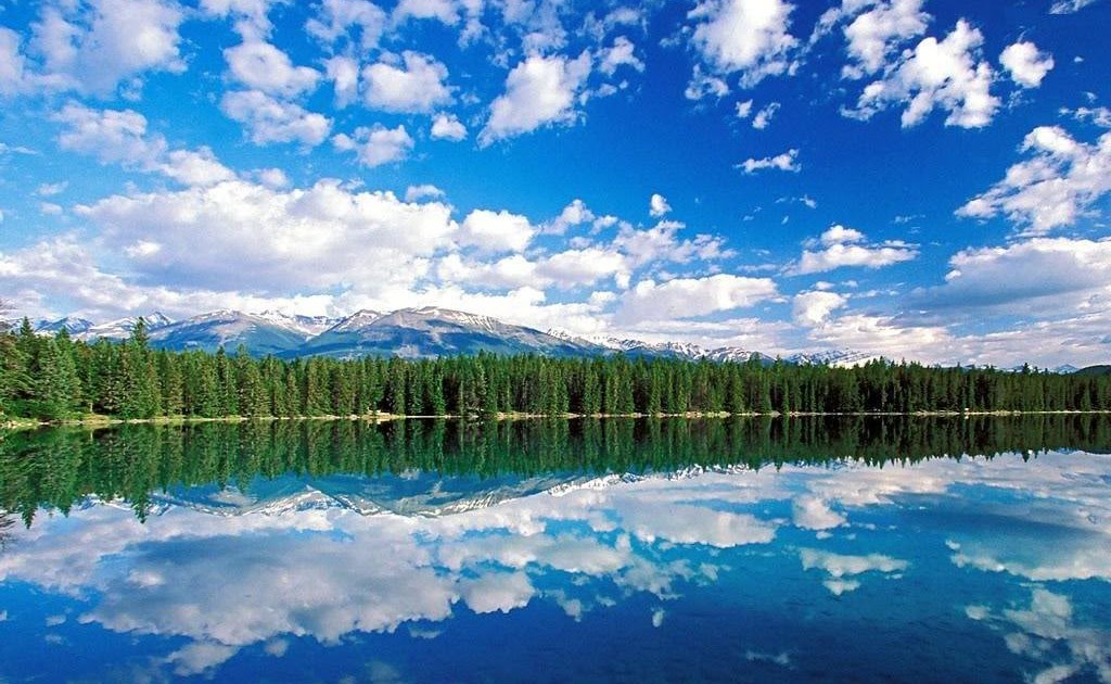 WHY IS THE SKY BLUE? |The Garden of Eaden